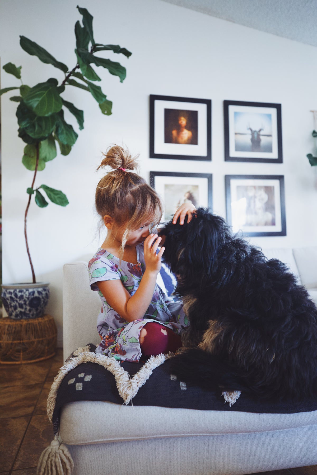 A Year in Review | Krystal Festerly